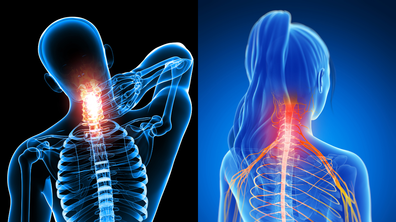 Learn at the Library: Neck and Back Pain | Minitex