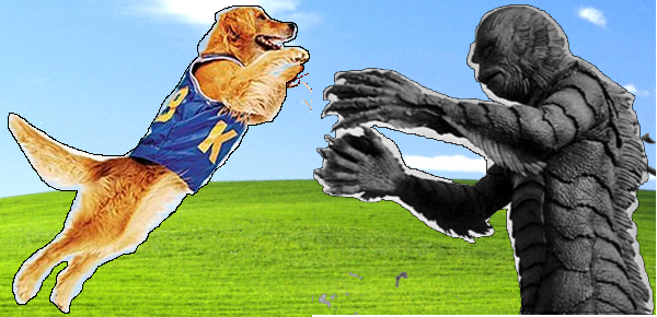 FinMan and Bud: An Online Course Report | Minitex